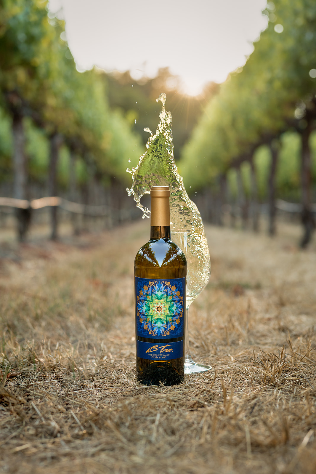 Our People – B True Wines